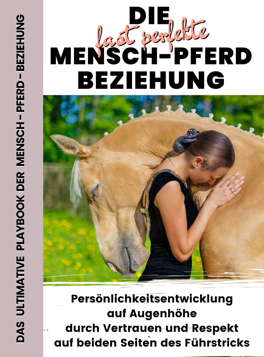 7 Gründe, warum du unbedingt mit deinem Pferd reisen solltest ...